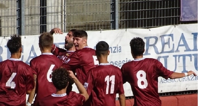 Borgosesia ufficialmente ripescato in serie D